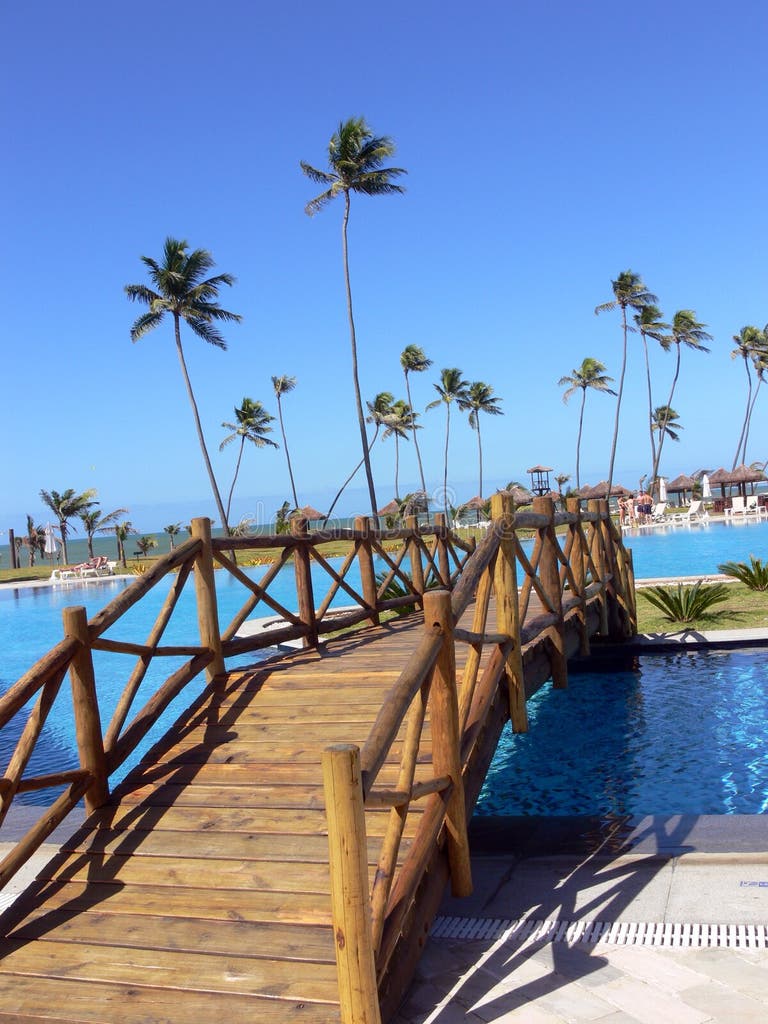 120,151 Paradise Hotel Svg Stock Photos - Free & Royalty-Free Stock ...