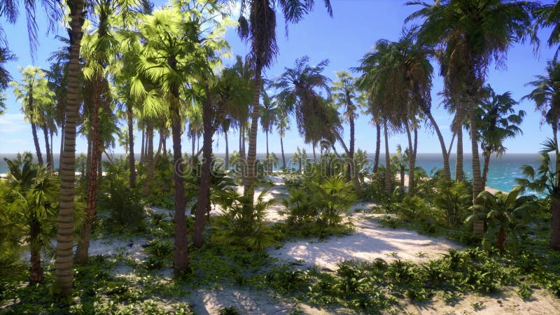 Paradise Landscape of Tropical Beach with Calm Ocean Waves 9 Stock ...