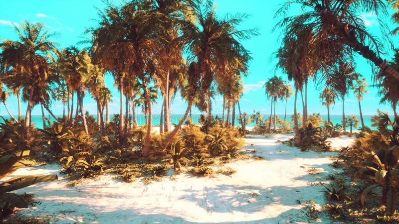 Paradise Landscape of Tropical Beach with Calm Ocean Waves Stock Video ...