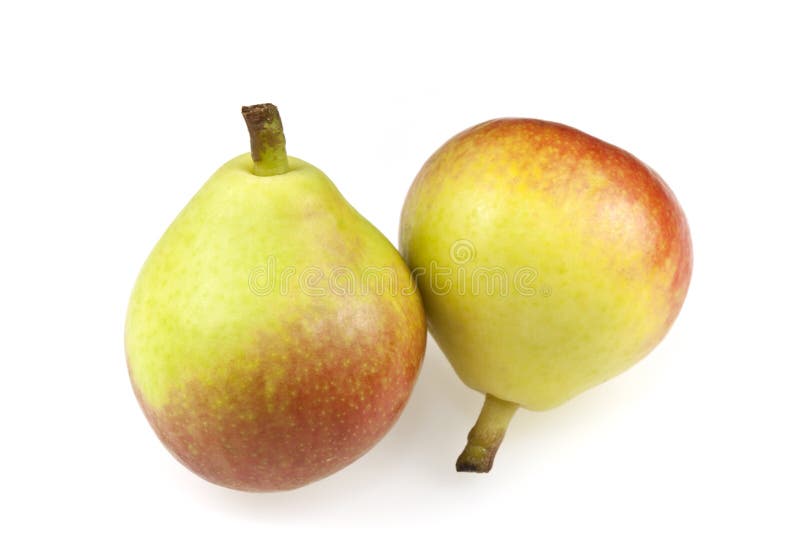 Paradise pears stock image. Image of bella, pear, skin - 28853475