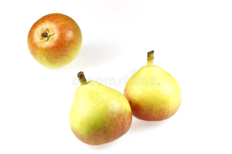 Paradise pears stock photo. Image of bella, food, juicy - 28853482