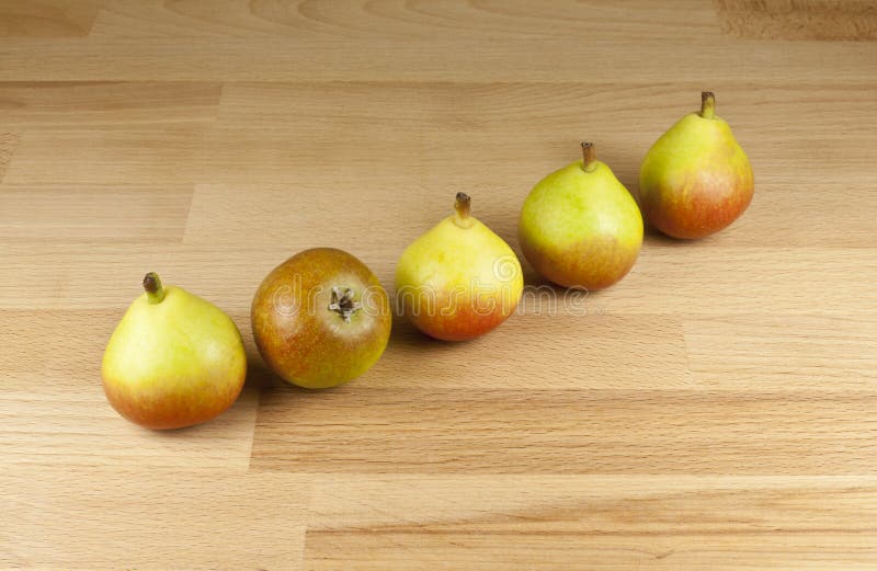 Paradise pears stock image. Image of food, healthy, juicy - 28962543