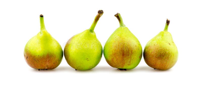 Paradise pears isolated stock image. Image of juicy, healthy - 49087043