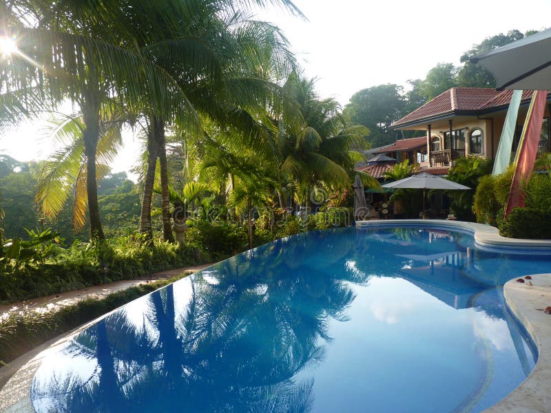 Paradise pool stock image. Image of garden, tree, hotel - 28760789