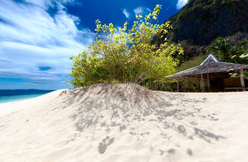 Paradise by sunshine stock image. Image of trocks, tropical - 34133173