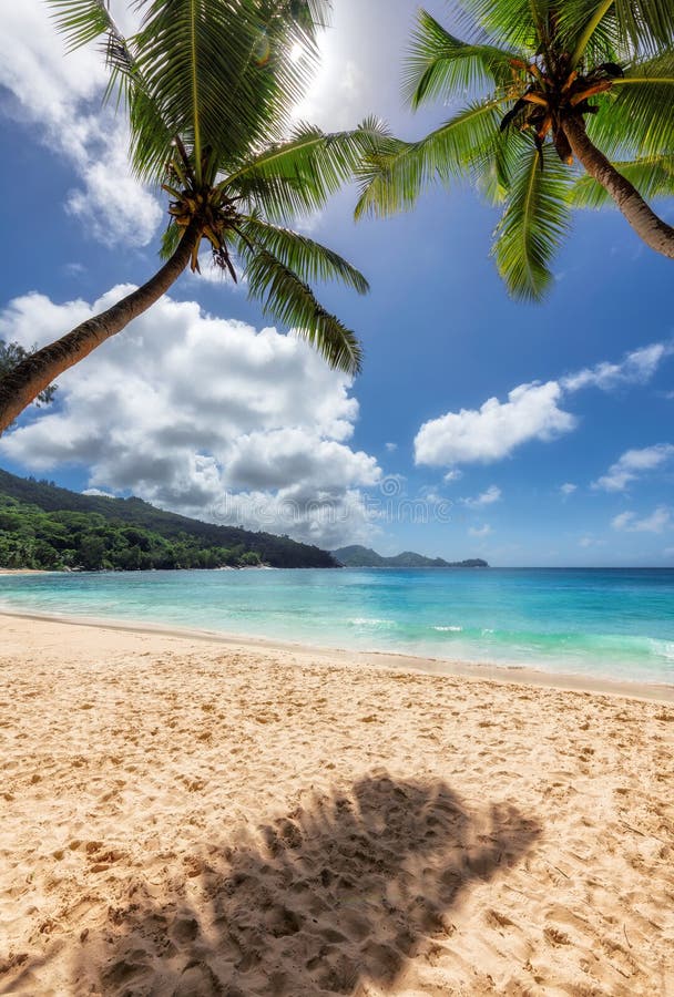 Beautiful Tropical Beach With Palms And Turquoise Sea In Paradise