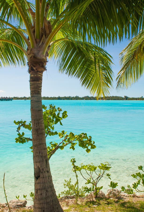 Paradise view stock image. Image of ocean, water, beach - 26262603