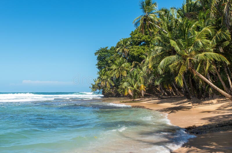 Paradise Wild Beach of Manzanillo Park in Costa Rica Stock Image ...