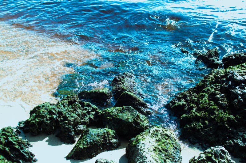 Paradiso Dell'oceano Della Spiaggia Con Le Rocce Verdi Fotografia Stock ...