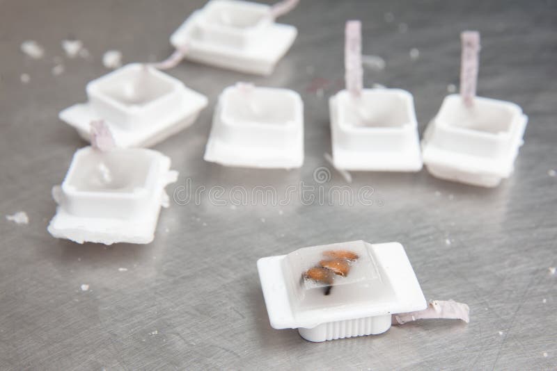 115 Pathology Blocks Stock Photos - Free & Royalty-Free Stock Photos ...