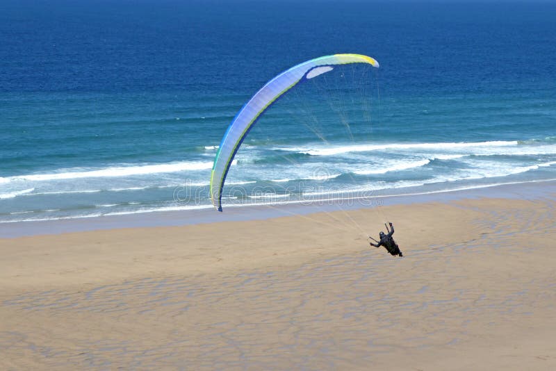 Paraglider above the beach stock image. Image of recreation - 127820787