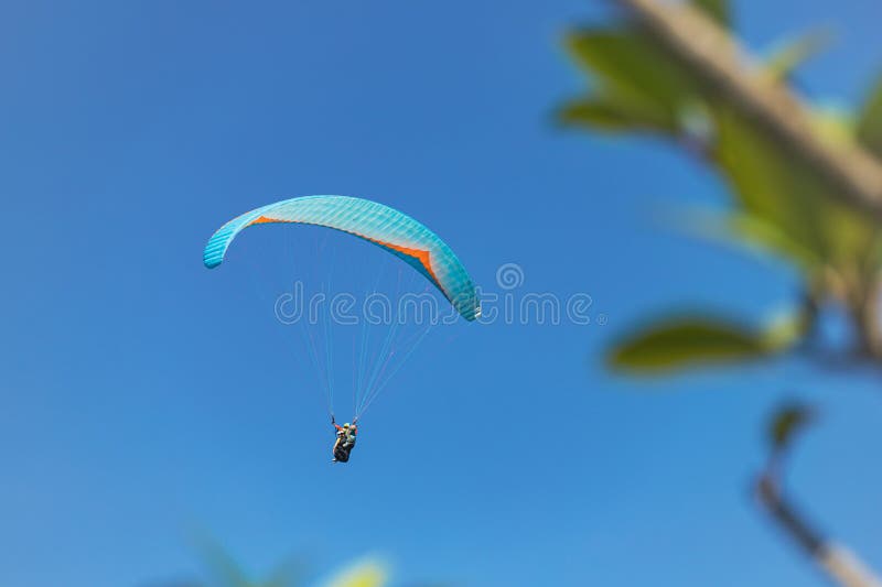 Paraglider in the Sky. the Sportsman Flying on a Paraglider. Stock ...