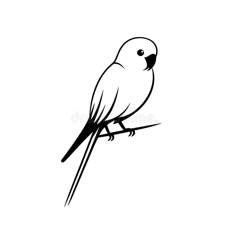 Parakeet Vector Stock Illustrations – 5,514 Parakeet Vector Stock ...