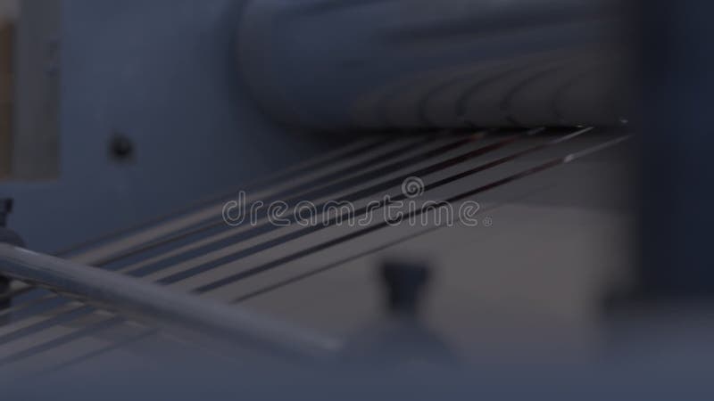 Parallel Blades Perform Cutting of Cardboard in Special Workshop Stock ...