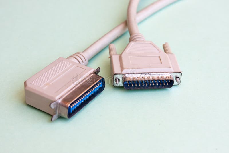 Gavin Lardner (Flexigav) - Exclusive Photos