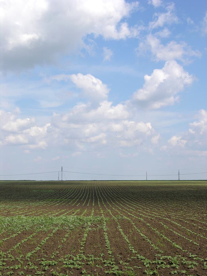 Parallel Lines stock image. Image of clouds, lawn, meadows - 119993