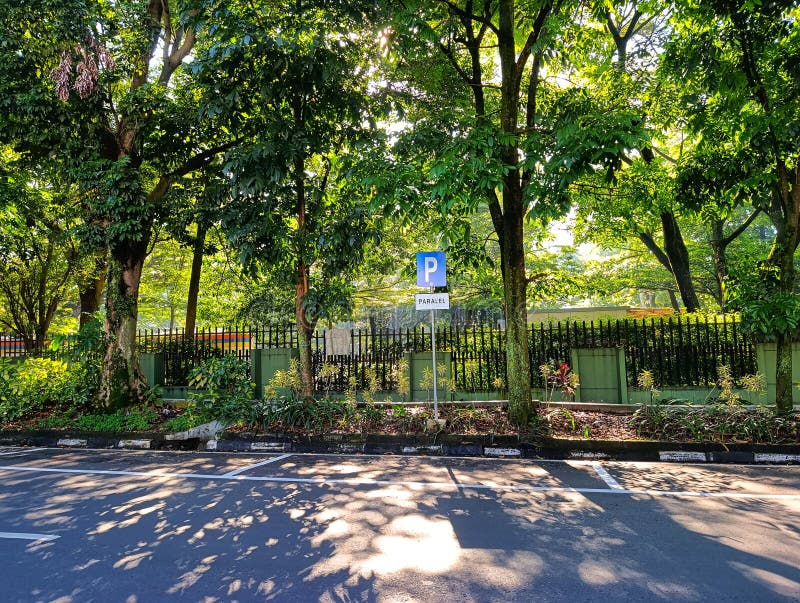 Parallel Parking Sign Amidst Green Trees Stock Image - Image of autumn ...