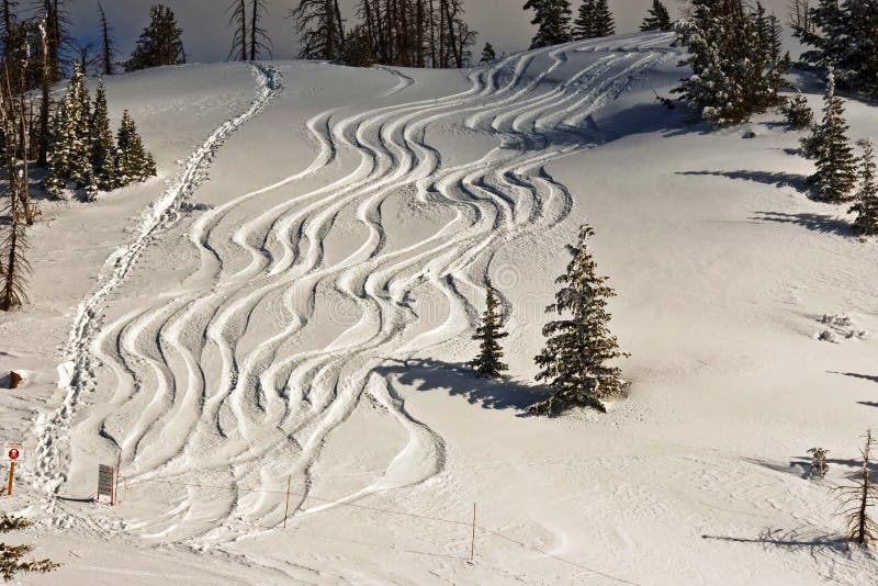 Parallel Tracks stock photo. Image of alpine, tracks - 13074916