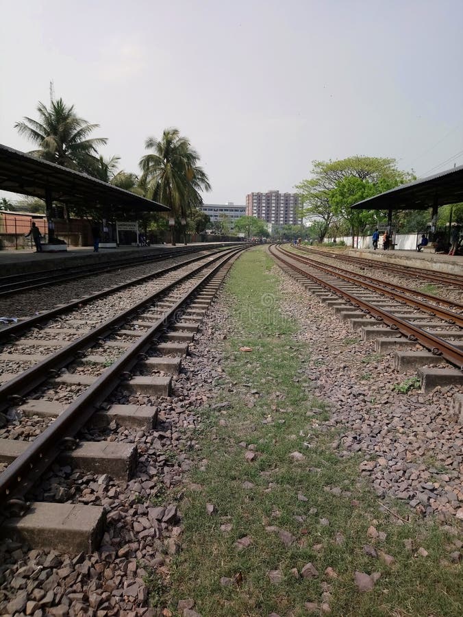 Train tracks stock photo. Image of tracks, parallel - 117033544