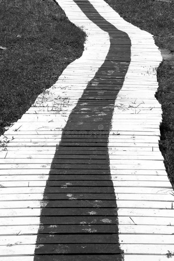 Parallel White Lines Picture. Image: 4102047