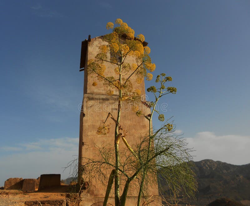 Parallelism stock photo. Image of yellow, abandoned - 115300054