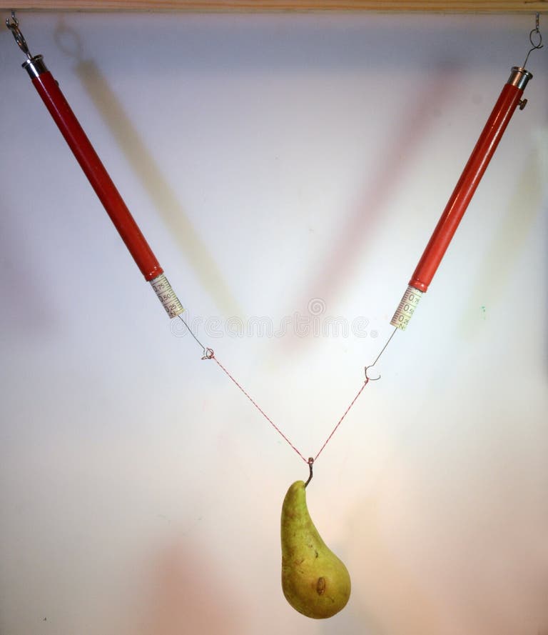 School Phots 2025 Stock Photos - Free & Royalty-Free Stock Photos from ...