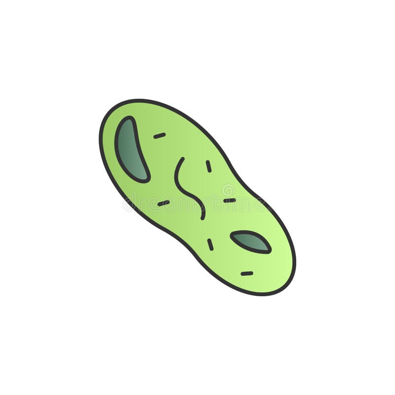 Paramecium Color Gradient Vector Icon Stock Illustration - Illustration of cell, virus: 195314119