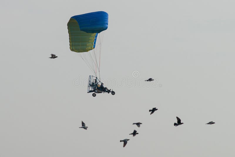 313 Parachute Birds Stock Photos - Free & Royalty-Free Stock Photos ...