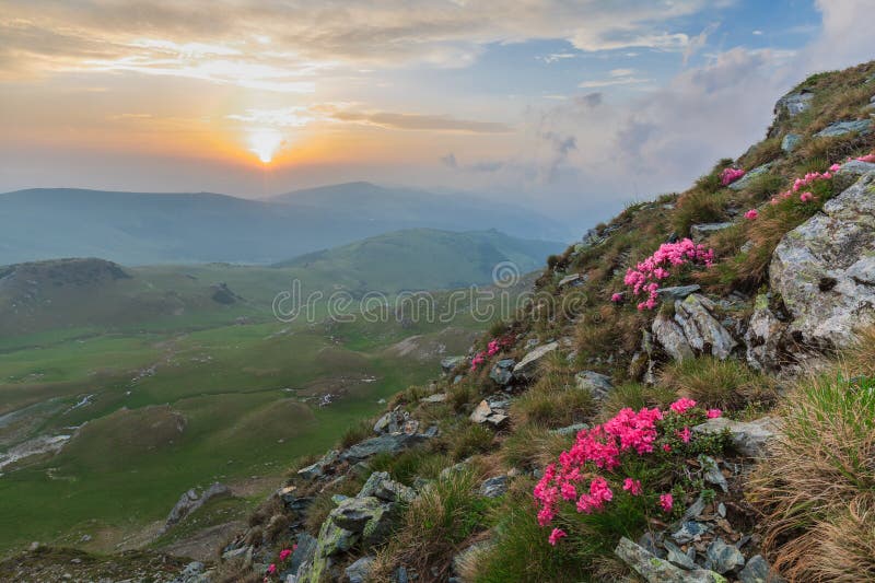 The Parang Mountains, Romania Stock Photo - Image of beautiful ...