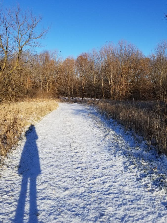 Paranormal snow shadow stock photo. Image of frost, reflection - 245311416