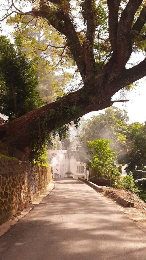 Parapat city indonesia stock photo. Image of city, medan - 272782642