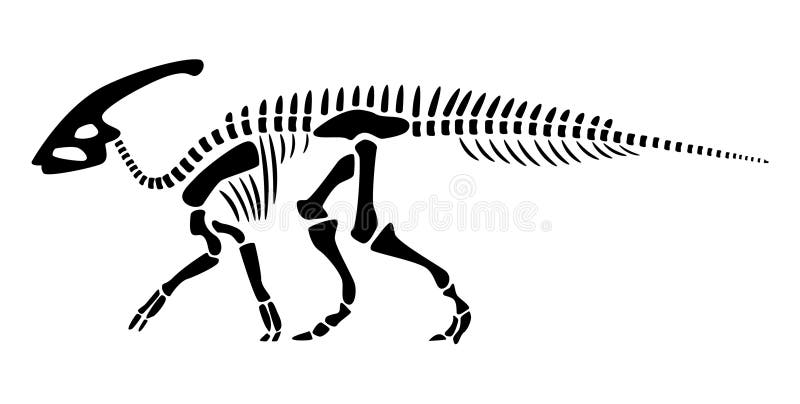 Parasaurolophus Skeleton . Silhouette Dinosaurs . Side View Stock ...