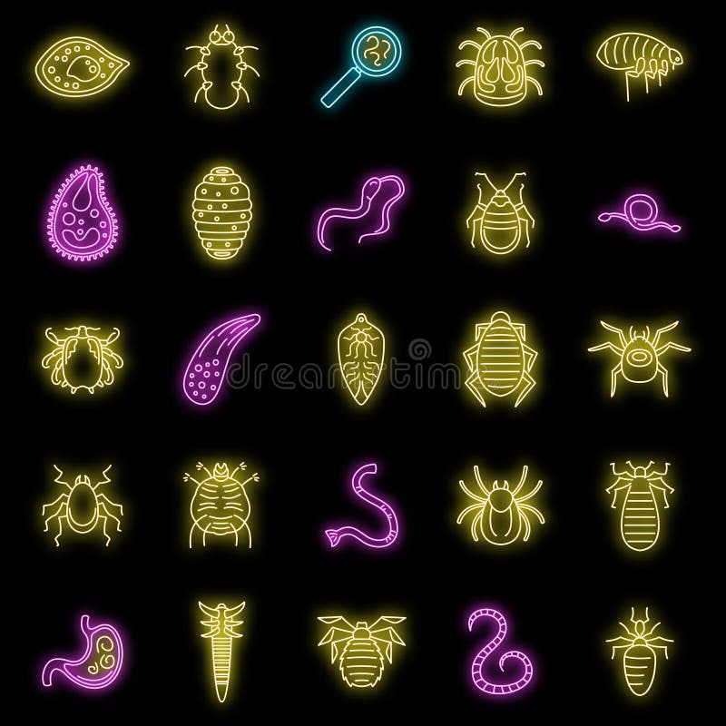 Parasite Insect Icons Set Vector Neon Stock Photo - Image of annelid ... Parasite Insect Icons Set Vector Neon Stock Photo - Image of annelid ...