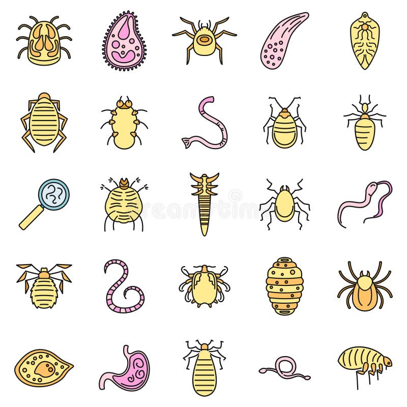 Parasite Insect Icons Set Vector Color Stock Illustration ... Parasite Insect Icons Set Vector Color Stock Illustration ...