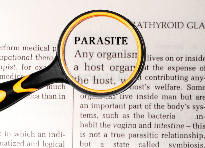 Parasite stock image. Image of blur, detail, covid, definition - 318527321