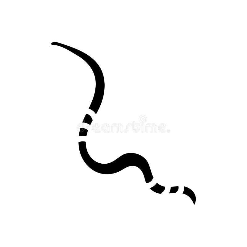 Internal Anatomy of an Earthworm Stock Vector - Illustration of ...