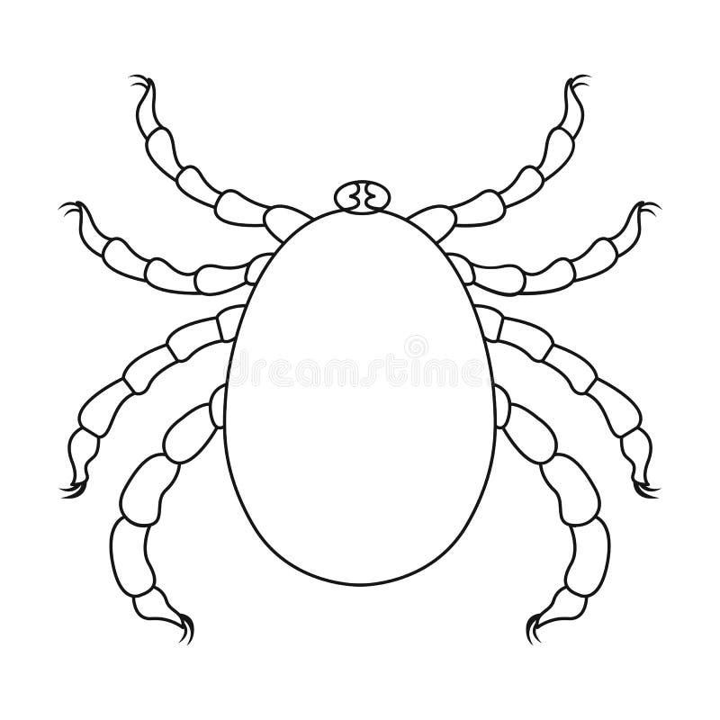 Mite. Vector drawing stock vector. Illustration of allergen - 78605278