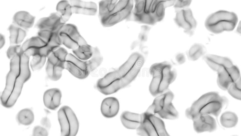 Parasitic Cells Division Simulation Under Microscope Stock Video ...