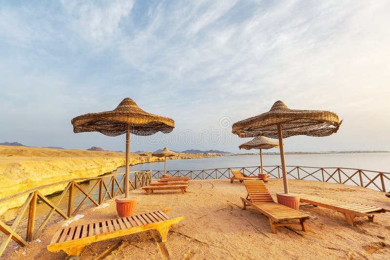 Parasol on the beach stock photo. Image of ocean, serenity - 55323070