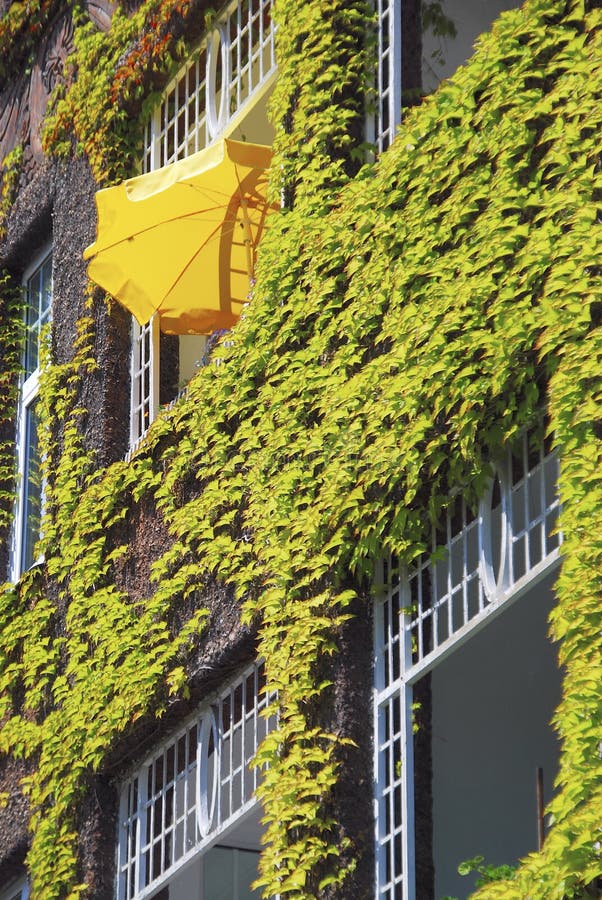 Parasol stock image. Image of facade, window, leafy, house - 39550329