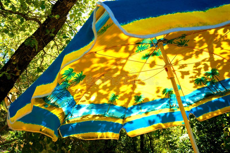 Parasol Under a Tree on a Sunny Day Stock Image - Image of shade ...