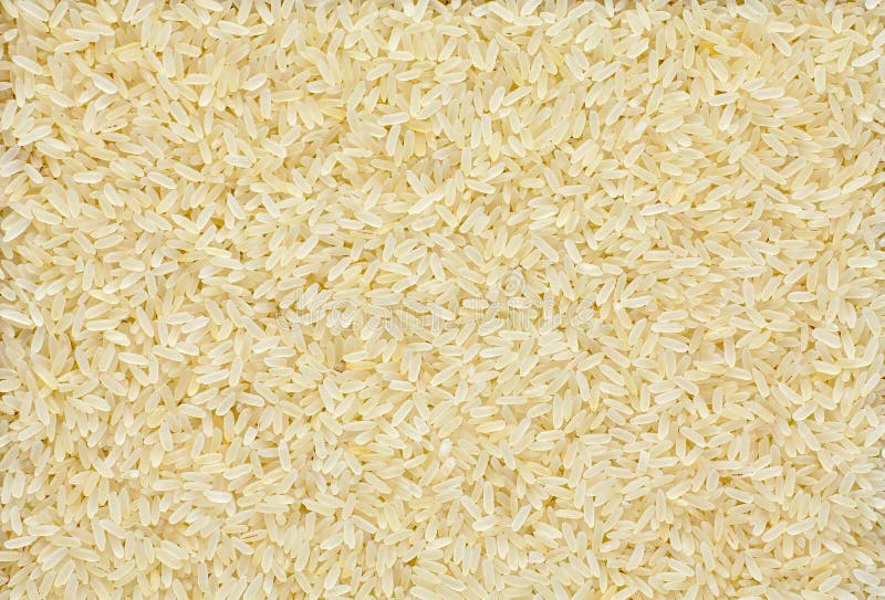Parboiled rice stock photo. Image of sushi, bran, organic - 38060176