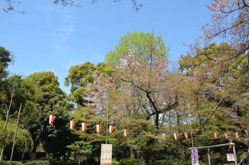 Parc d'Ueno Tokyo Japon photo éditorial. Image du pratiques - 91241541