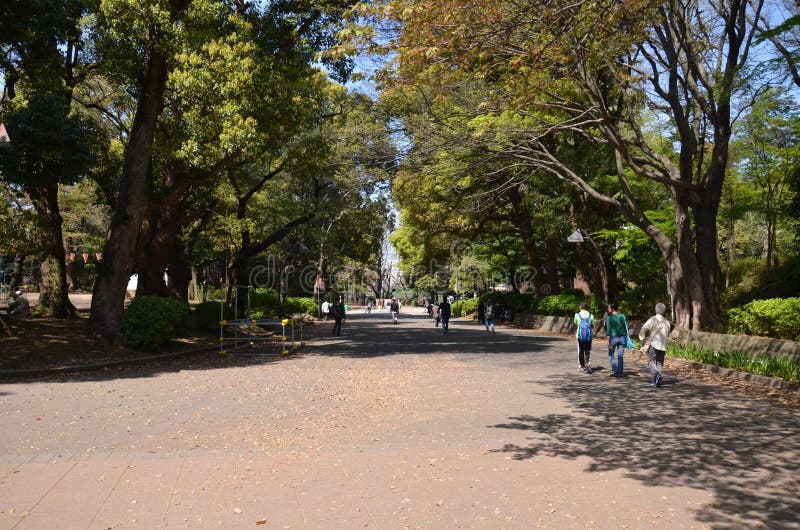 Parc d'Ueno Tokyo Japon image stock éditorial. Image du tokyo - 133009244