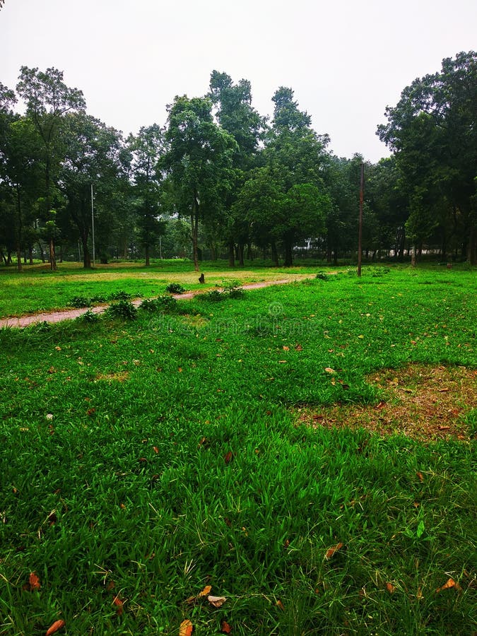 Parc De Ramna Au Coeur De Dacca Photo stock - Image du situé ...