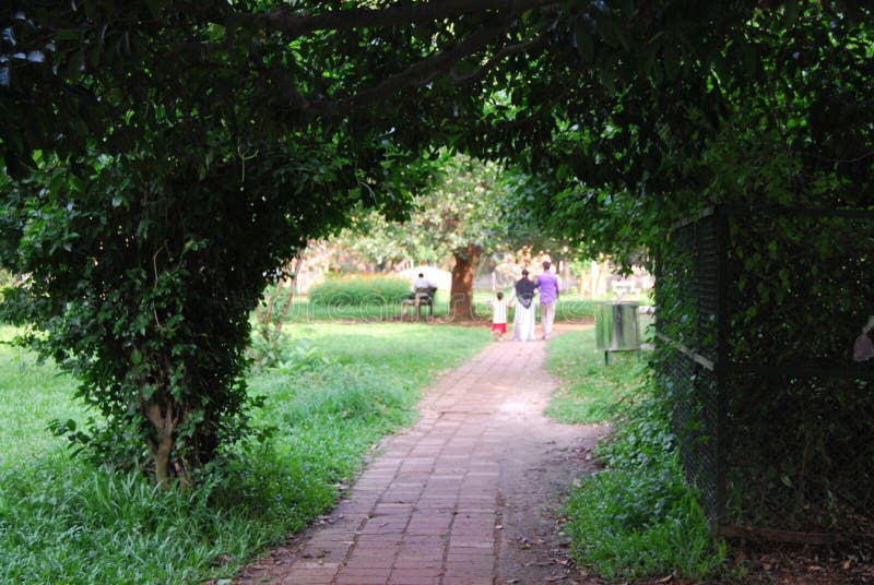 Parc De Ramna Au Coeur De Dacca Photo stock - Image du arbres, ville ...
