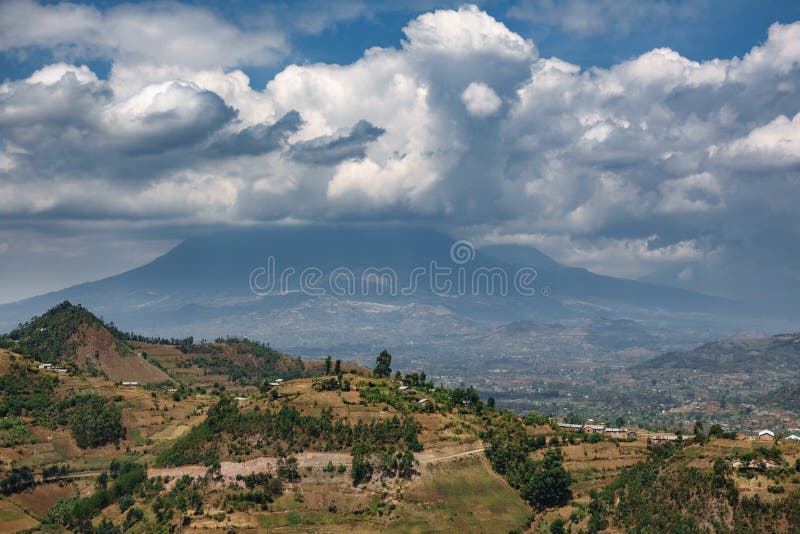 Parc de volcan au Rwanda image stock. Image du gorille - 100105067