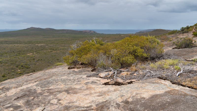 Parc Du Cap Le Grand National, Australie Occidentale Image éditorial ...