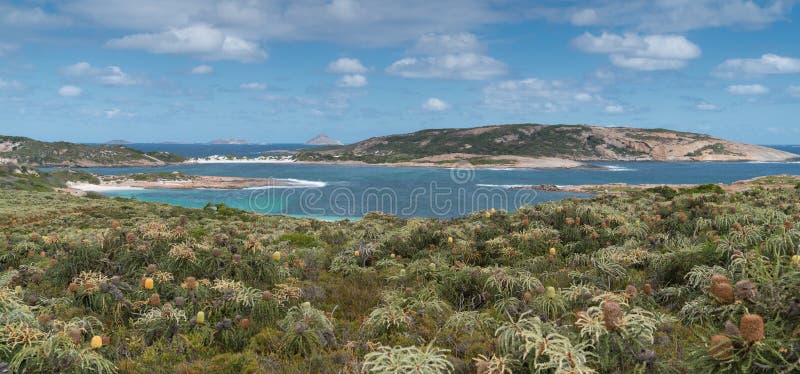 Parc Du Cap Le Grand National, Australie Occidentale Photo stock ...