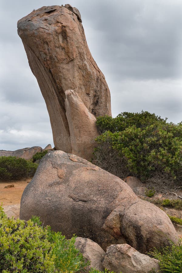 Parc Du Cap Le Grand National, Australie Occidentale Image stock ...